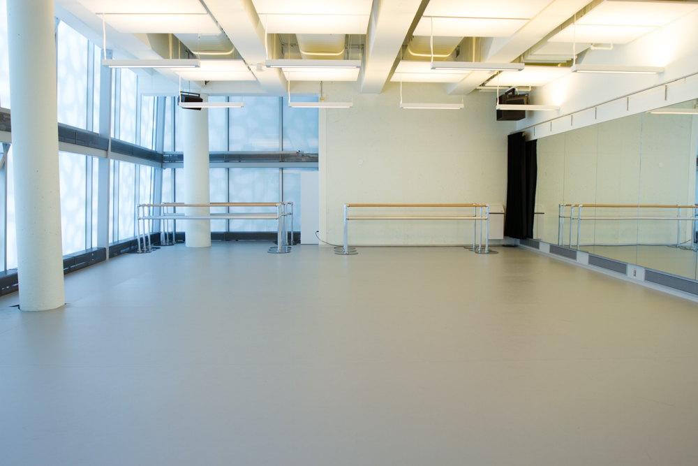 Professional dance studio of Les Grands Ballets in the Wilder Building ...